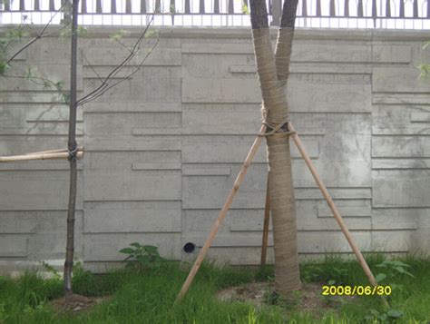 M 141 C 기하학2 문양거푸집 전문 미래cns