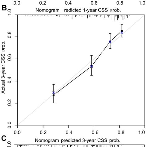 Calibration Curves Of The Nomogram Predicting Os In The Development