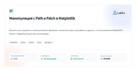 Манипуляция с Path и Patch в Matplotlib Labex