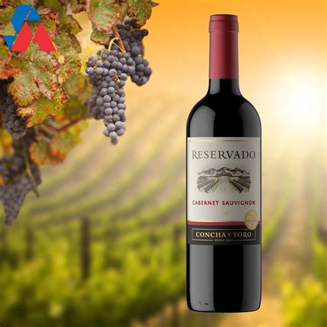 Concha Y Toro Vinho Chileno 750ml Shopee Brasil