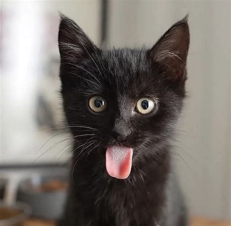 Breed Me Please On Tumblr