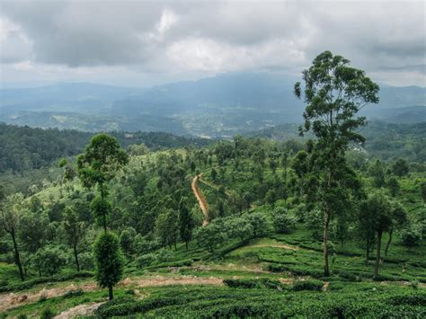 Cycling In Sri Lanka Whats It Really Like