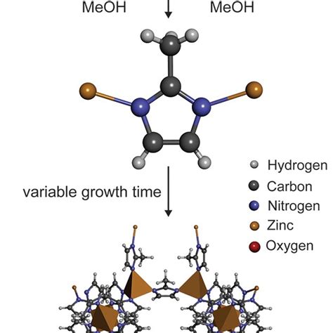 Schematic Of The Synthesis Route Of Zif 8 Download Scientific Diagram