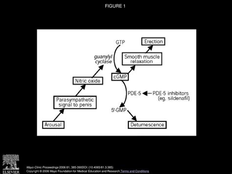 Evaluation And Medical Management Of Erectile Dysfunction Ppt Download