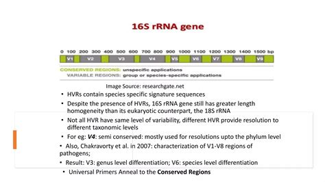 16 S Rrna Gene Sequencing For Bacterial Identification Pptx