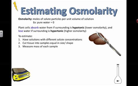 Measuring Osmolarity Ib Bio 2015 Youtube