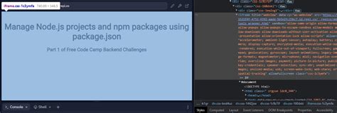 Failedpackagejson Should Have A Valid Author Key Backend