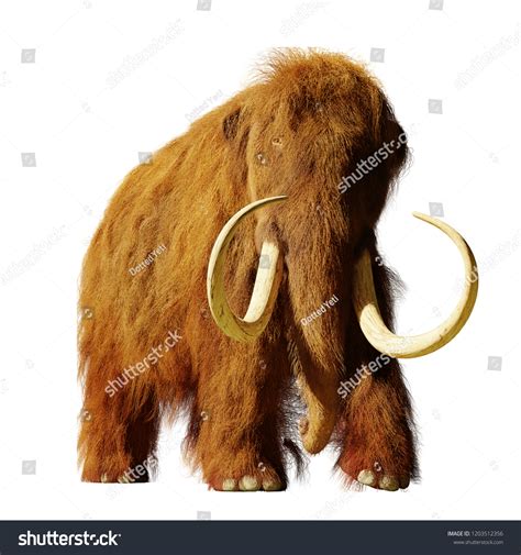 Woolly Mammoth Extinct Prehistoric Elephant Species Stock Illustration