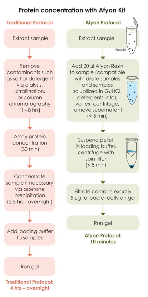 Sds Page Sample Buffer Recipe