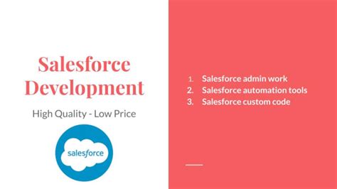 Be Your Salesforce Consultant Developer And Admin By Anukacjay Fiverr