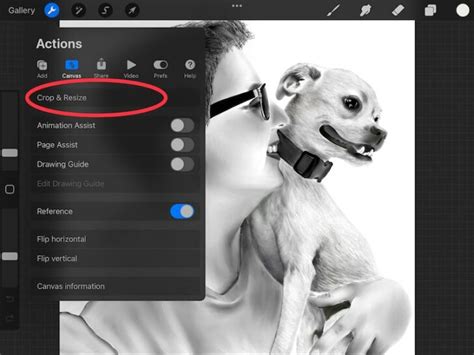 How To Limit Quality Loss When Resizing In Procreate Adventures With Art