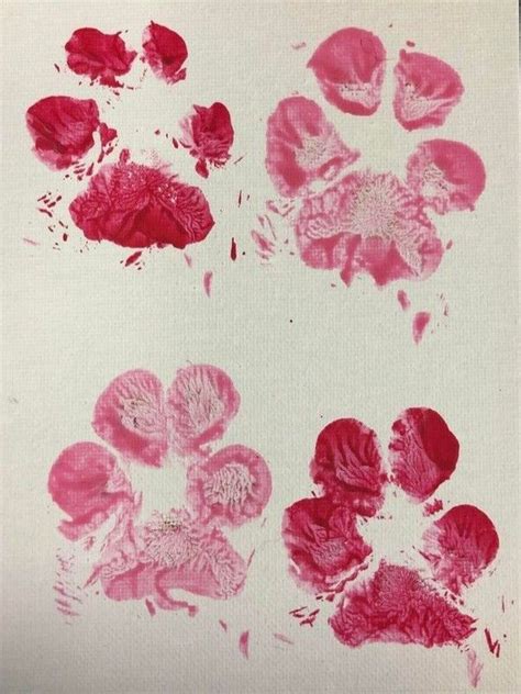 Pin By Uta Moser On Dogs Dog Paw Art Dog Paw Print Art Dog Valentines