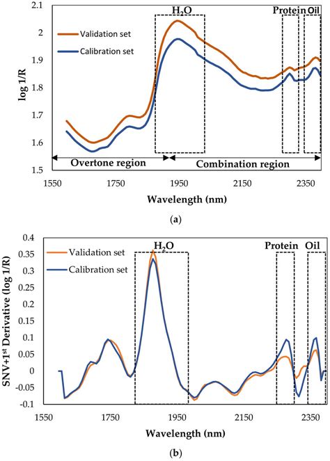 Average Spectra Of The Calibration And Validation Sets A Raw