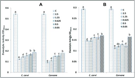 Effect Of Caraway Essential Oil And Its Main Compound Carvone Tested Download Scientific