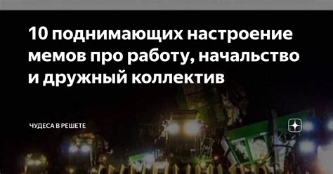 10 поднимающих настроение мемов про работу начальство и дружный