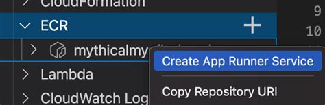 apprunner create service from ecr node provides default values · issue 2276 · aws aws