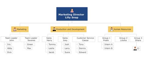 8 个最佳组织结构图示例及创建方法 [2025]