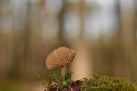 가상현실vr과 증강현실ar 산업 응용 Vr로 자동차 운전 시뮬레이션 훈련