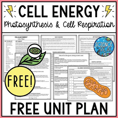 Cell Energy Unit Plan And Pacing Guide Science Is Real Education