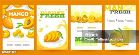 망고 포스터 텍스트와 로고가 있는 열대 달콤한 익은 과일 채식주의 식단 정보가 담긴 만화 유기농 다이어트 전단지 벡터 격리 집합