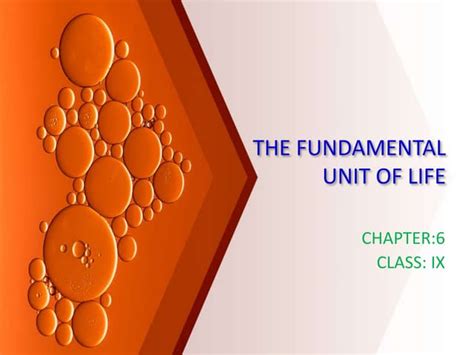 The Fundamental Unit Of Life Class 9 Pptx