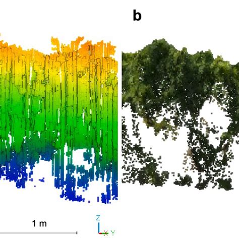 Side View Of The Point Clouds Obtained With A The Mtls Lidar And B