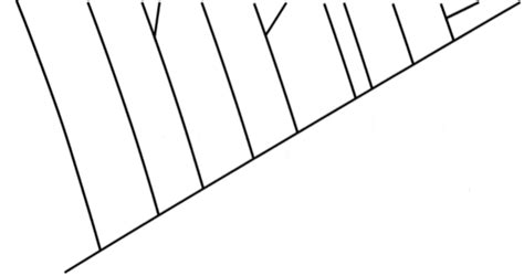 lab 2 figure 1 1 diagram quizlet