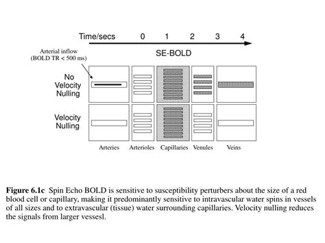 Ppt Statistical Parametric Mapping Powerpoint Presentation Free