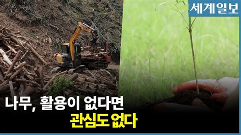 나무를 베는 것은 환경을 파괴하는 것일까요 지구를 지키는 것일까요 나무를 다시 생각한다 Youtube