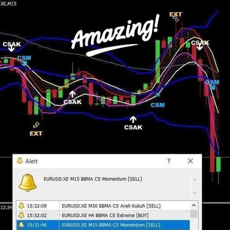 Ameenscriptfx Mt4 Mt5 Ea Indicator Mql Forex Coder Shah Alam