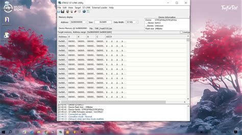48 How To Fix Can Not Connect To Target In Stlink Stm32f4 [minh Hữu It] Youtube