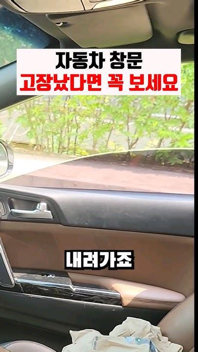 자동차 창문이 안 내려간다면 꼭 보세요쉽게 수리하는 방법 Shorts 자동차 자동차수리 자동차창문 Youtube