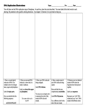 Dna Replication Illustration Worksheet Answer Key Fill Online Printable Fillable Blank