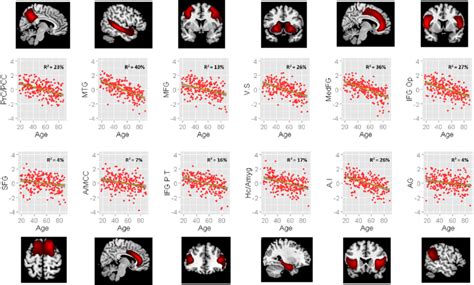 Source Based Morphometry Sources Relationship To Age Each Show A