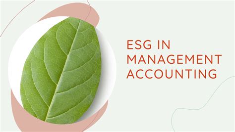 Relevance Of Esg In Management Accounting