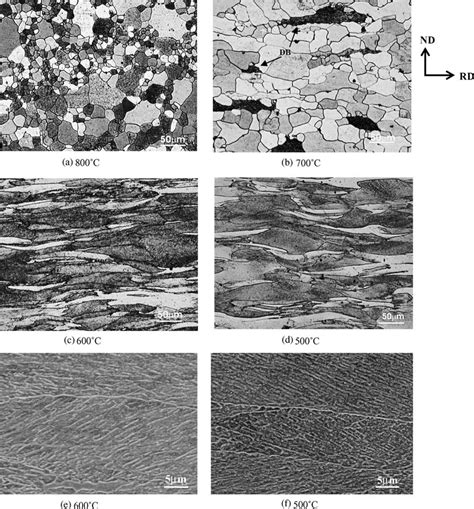 optical a d and sem micrographs e and f showing development of