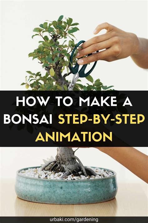 How To Create Your Own Bonsai Tree
