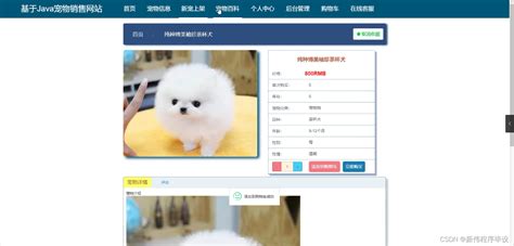 基于宠物销售网站源码开题 Csdn博客