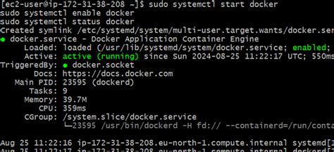 Building And Managing Net Applications With Docker Compose Geeksforgeeks