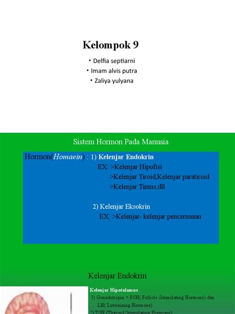 Sistem Hormon Pada Manusia Pdf