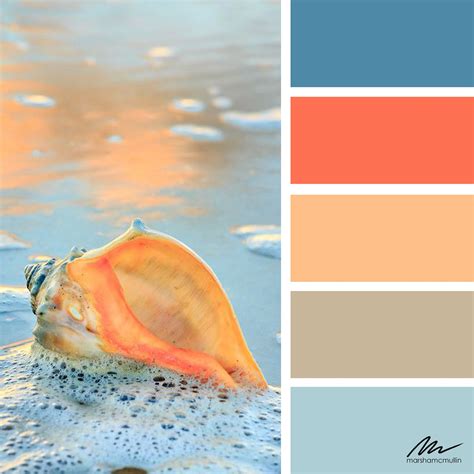 Seaside Shell Color Palette In Color Schemes Colour Palettes My Xxx Hot Girl Seaside Shell Color Palette In Color Schemes Colour Palettes My Xxx Hot Girl