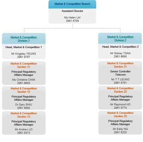 Office Of The Communications Authority Market Competition Branch
