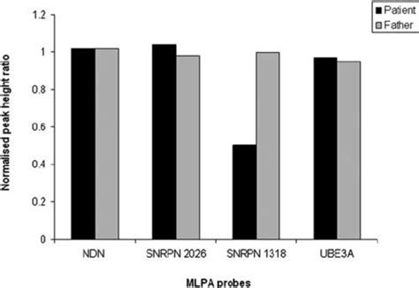Mlpa Of Patient And Patients Father Using The Salsa Mlpa P245 A1