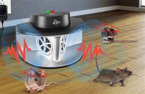 Best 5 Mouse Repellent Sound Devices Ultrasonic Solutions For A Rodent