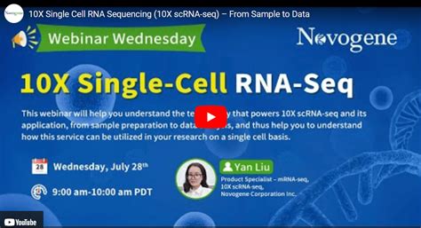 10x Single Cell Rna Sequencing 10x Scrna Seq From Sample To Data Novogene