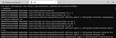 使用 Wsl 在另一台计算机上打开核心转储 Aspnet Core Microsoft Learn