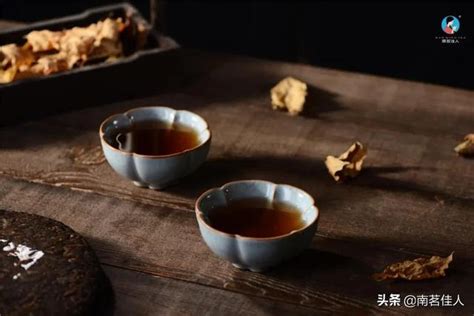 用冰島垻歪古樹春茶茶箐發酵的熟茶究竟如何 每日頭條