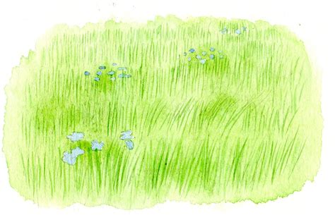 Watercolor Painting Grass Tutorial At Rodney Swisher Blog