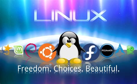 The Top Linux Distributions In 2012