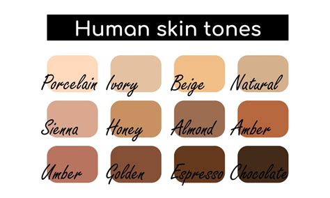 Human Skin Tones Pallets Informational Poster Vector Illustration On